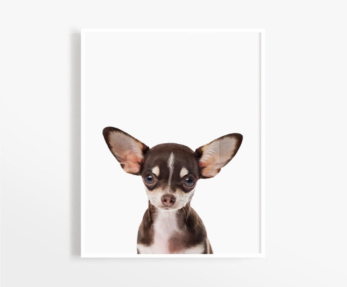 Puppy Dog Prints Nursery Puppy Print Animal Nursery Art | Etsy