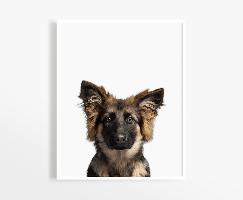 Puppy Dog Prints, Nursery Puppy Print, Animal Nursery Art, Baby Animal ...
