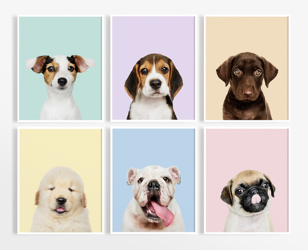 Puppy Dog Prints, Nursery Puppy Print, Animal Nursery Art, Baby Animal ...