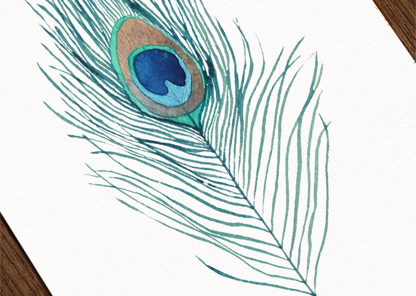 Peacock Feather Art Print Instant Download Peacock Feathers | Etsy