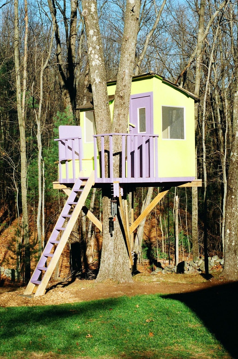 Simple Tree House Ideas