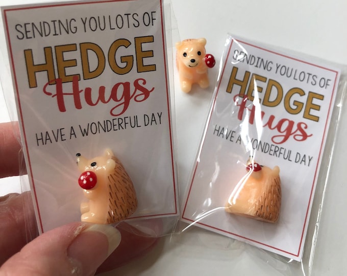Sending You Lots of HEDGE HUGS Tiny Hedgehog Good Luck Charm, Lucky ...