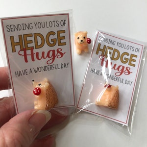 Sending You Lots of HEDGE HUGS - Tiny Hedgehog Good Luck Charm, Lucky ...