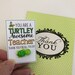 You Are a TURTLEY AWESOME TEACHER, Tiny Turtle Good Luck Charm, School ...