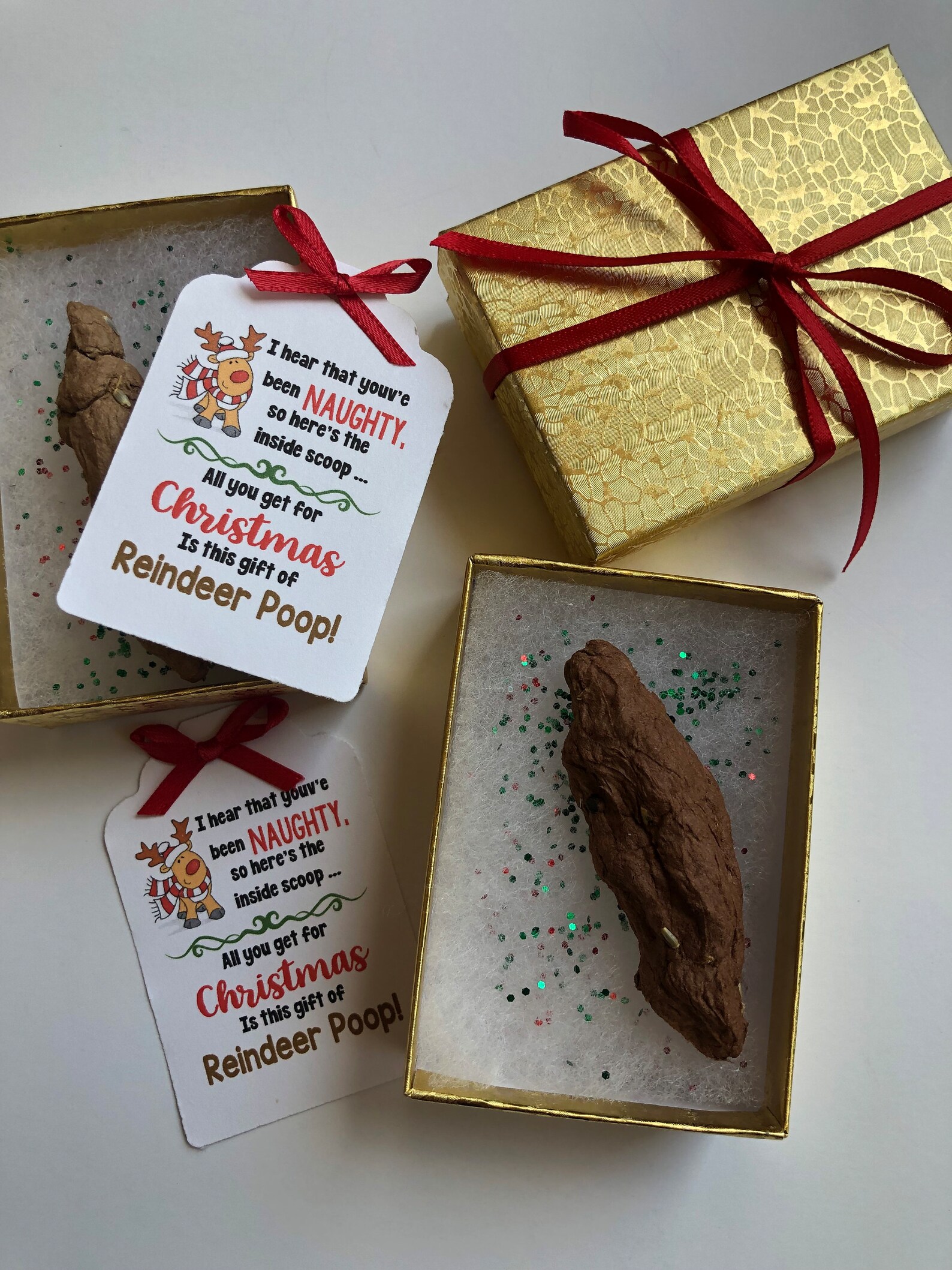 REINDEER POOP Wildflower TURD Bomb Plantable Recycled - Etsy