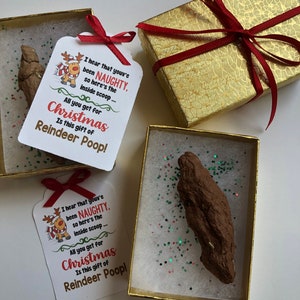 REINDEER POOP Wildflower TURD Bomb Plantable Recycled - Etsy