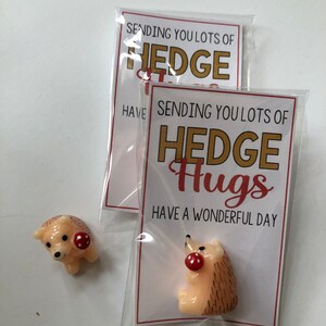 Sending You Lots of HEDGE HUGS - Tiny Hedgehog Good Luck Charm, Lucky ...