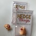 Sending You Lots of HEDGE HUGS Tiny Hedgehog Good Luck Charm, Lucky ...