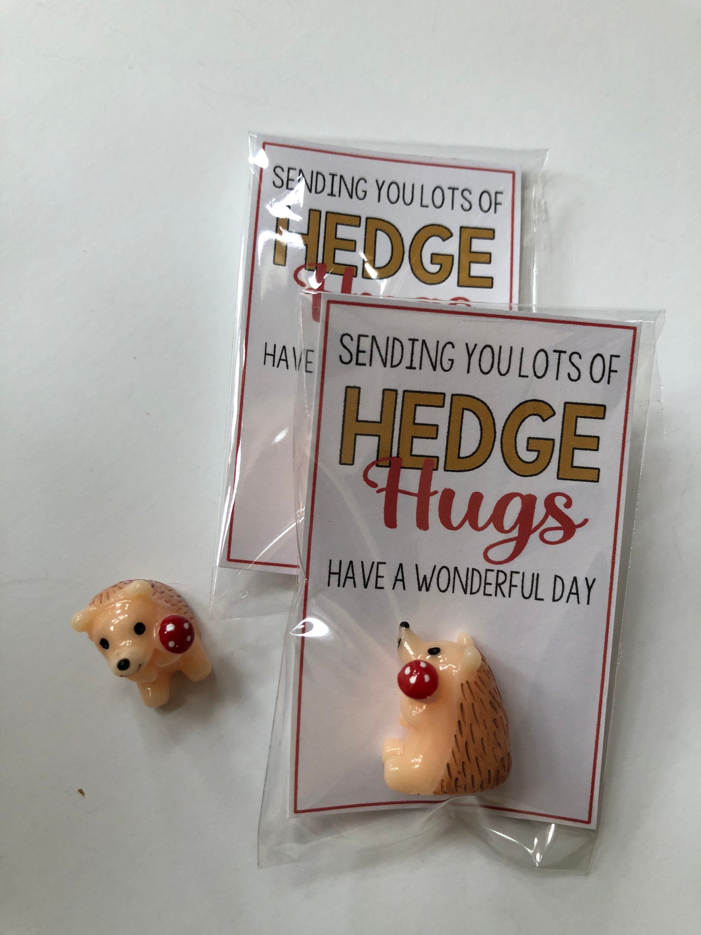 Sending You Lots of HEDGE HUGS - Tiny Hedgehog Good Luck Charm, Lucky ...