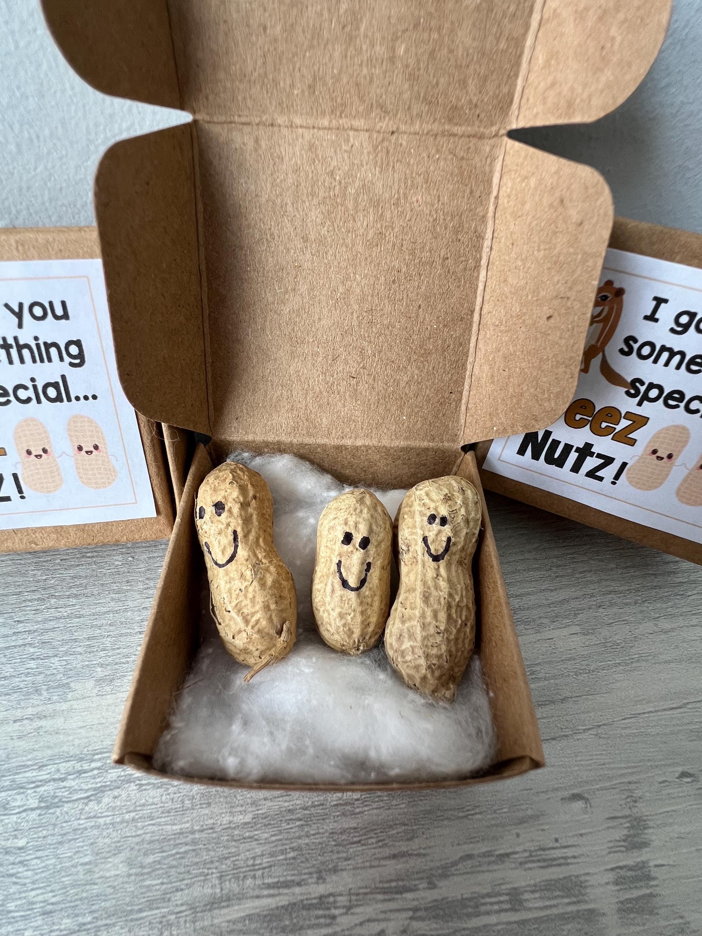DEEZ NUTZ- Funny Gag Gift Box , Silly Prank Goody Bags, Birthday, Co ...