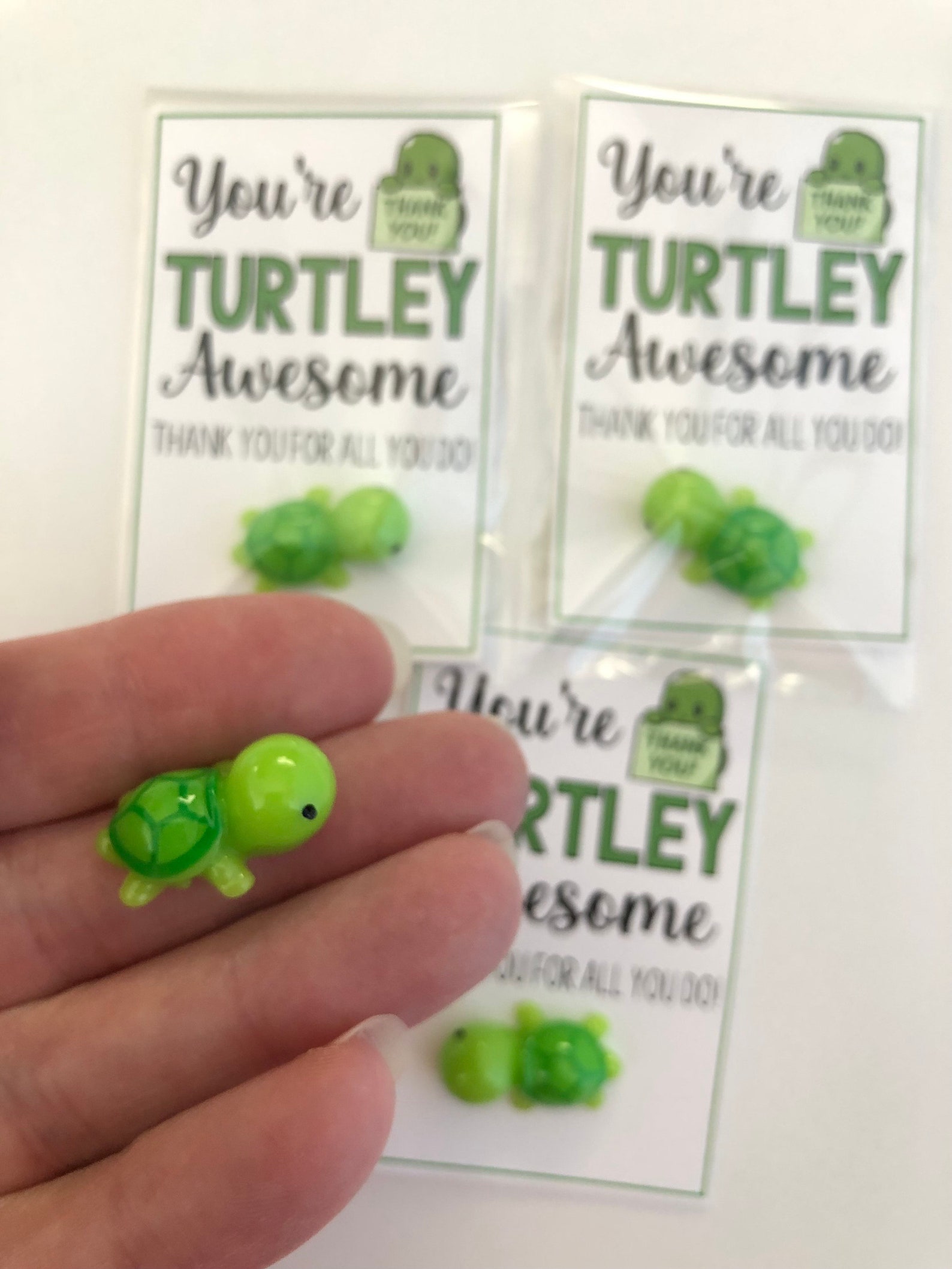 You're TURTLEY AWESOME, Tiny Turtle Good Luck Charm Gift Bag, THANK You ...