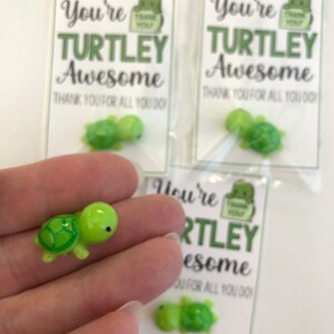 You're TURTLEY AWESOME, Tiny Turtle Good Luck Charm Gift Bag, THANK You ...
