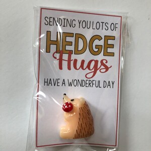 Sending You Lots of HEDGE HUGS - Tiny Hedgehog Good Luck Charm, Lucky ...
