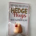 Sending You Lots of HEDGE HUGS - Tiny Hedgehog Good Luck Charm, Lucky ...