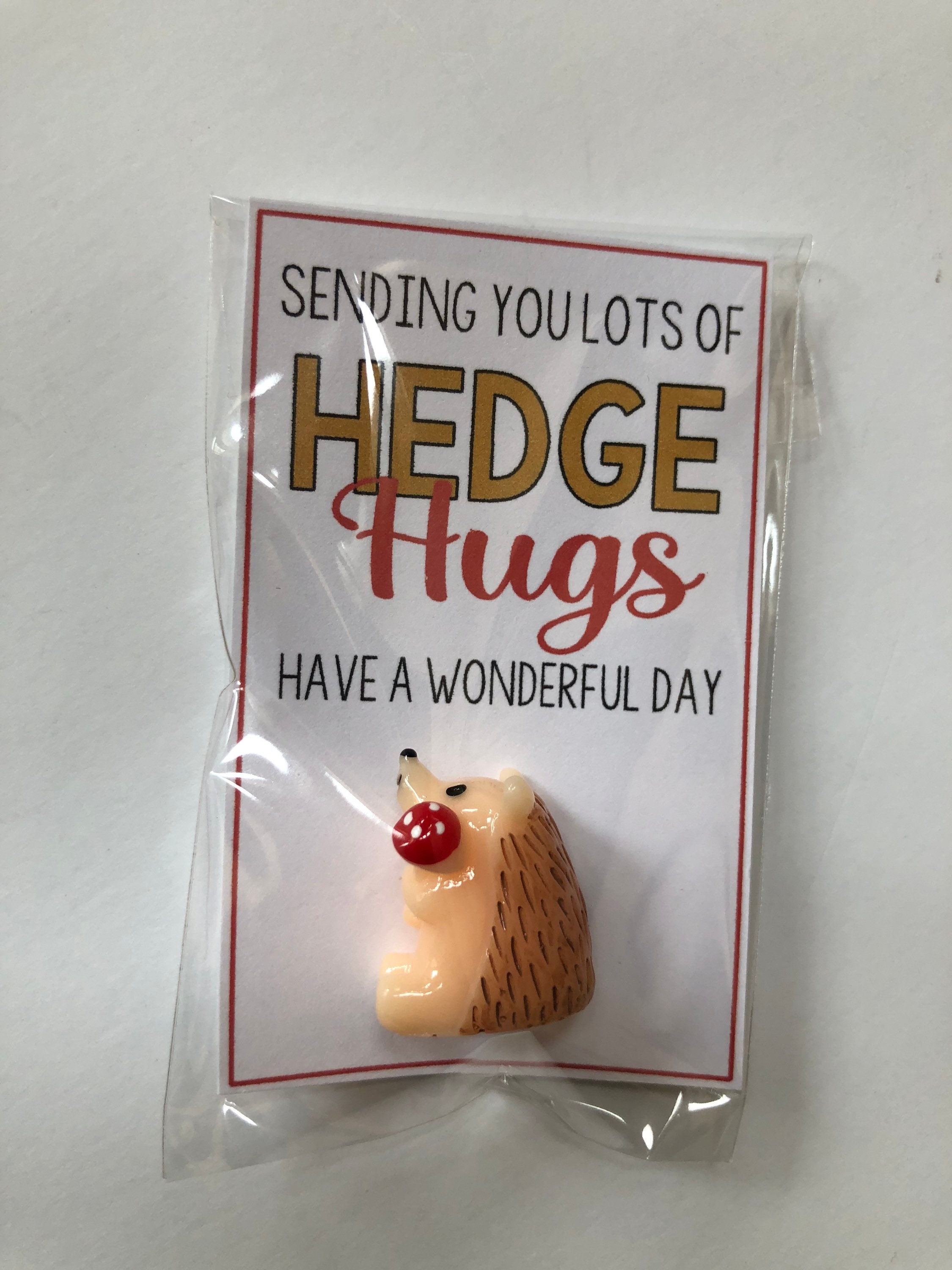 Sending You Lots of HEDGE HUGS - Tiny Hedgehog Good Luck Charm, Lucky ...