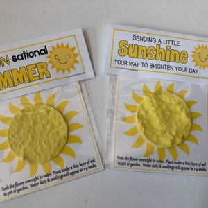 Have a Sun-sational Summer or Sending SUNSHINE teacher Gifts - Etsy