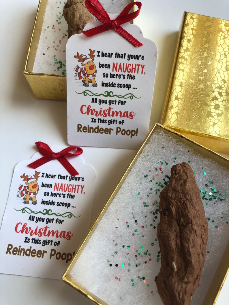 REINDEER POOP Wildflower TURD Bomb Plantable Recycled - Etsy