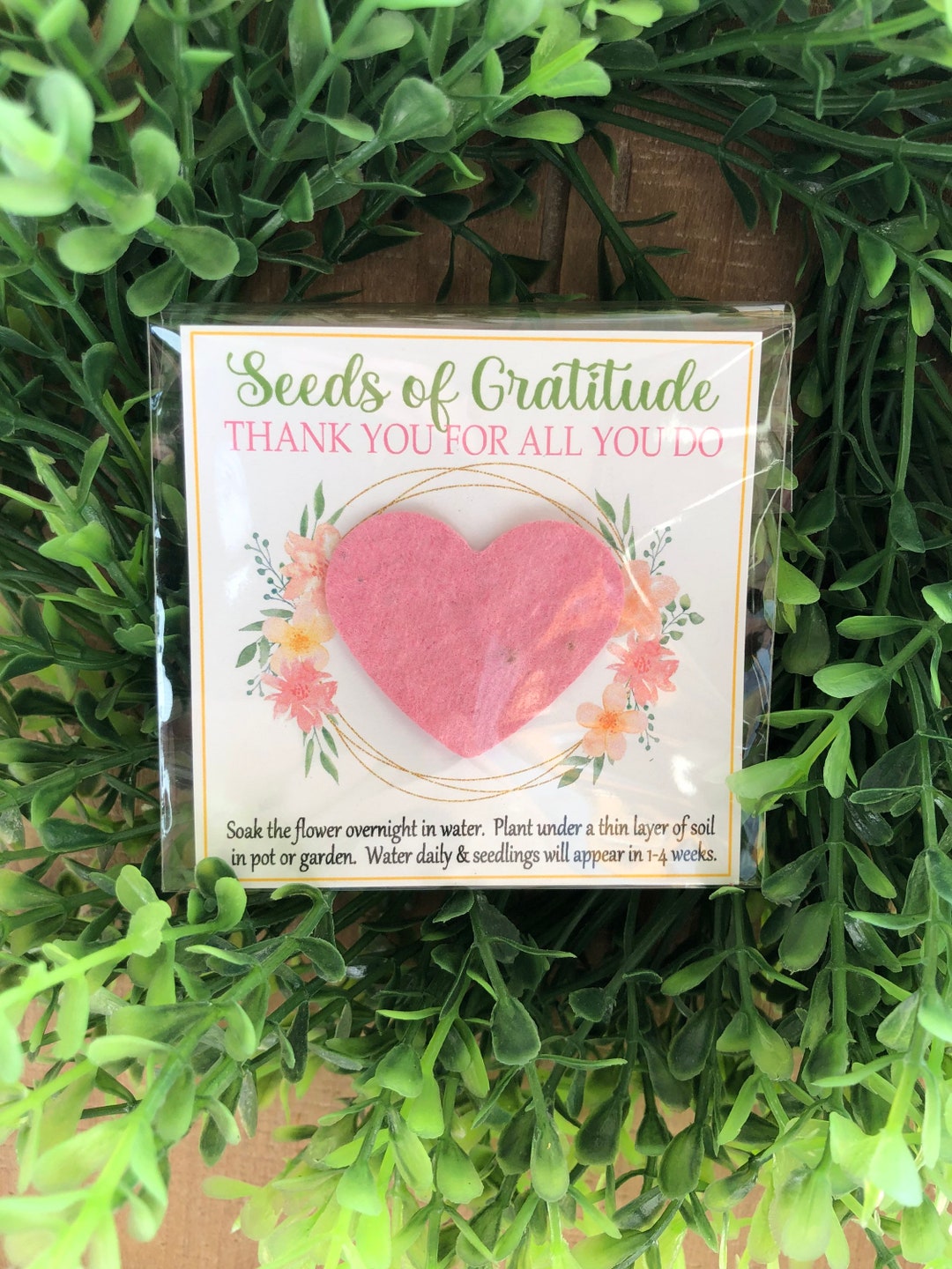 SEEDS of GRATITUDE- Bloomin' Plantable Seed Paper Gift Bags, Mothers ...