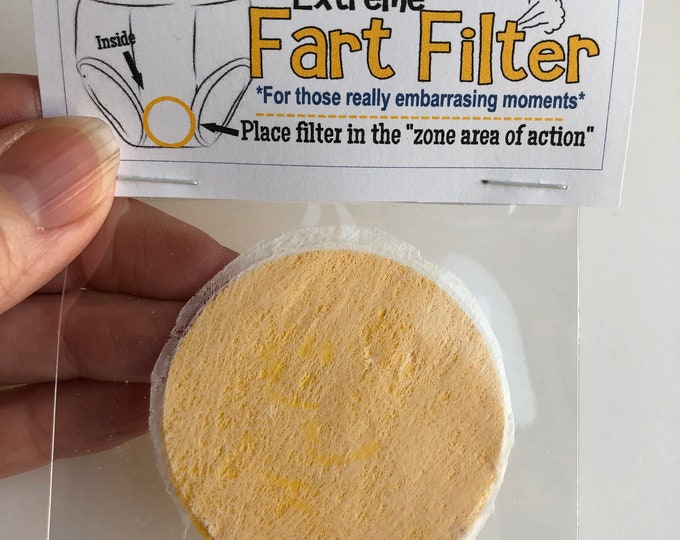 FART FILTER gag Gift Bags Funny Silly Prank Goody Bag - Etsy
