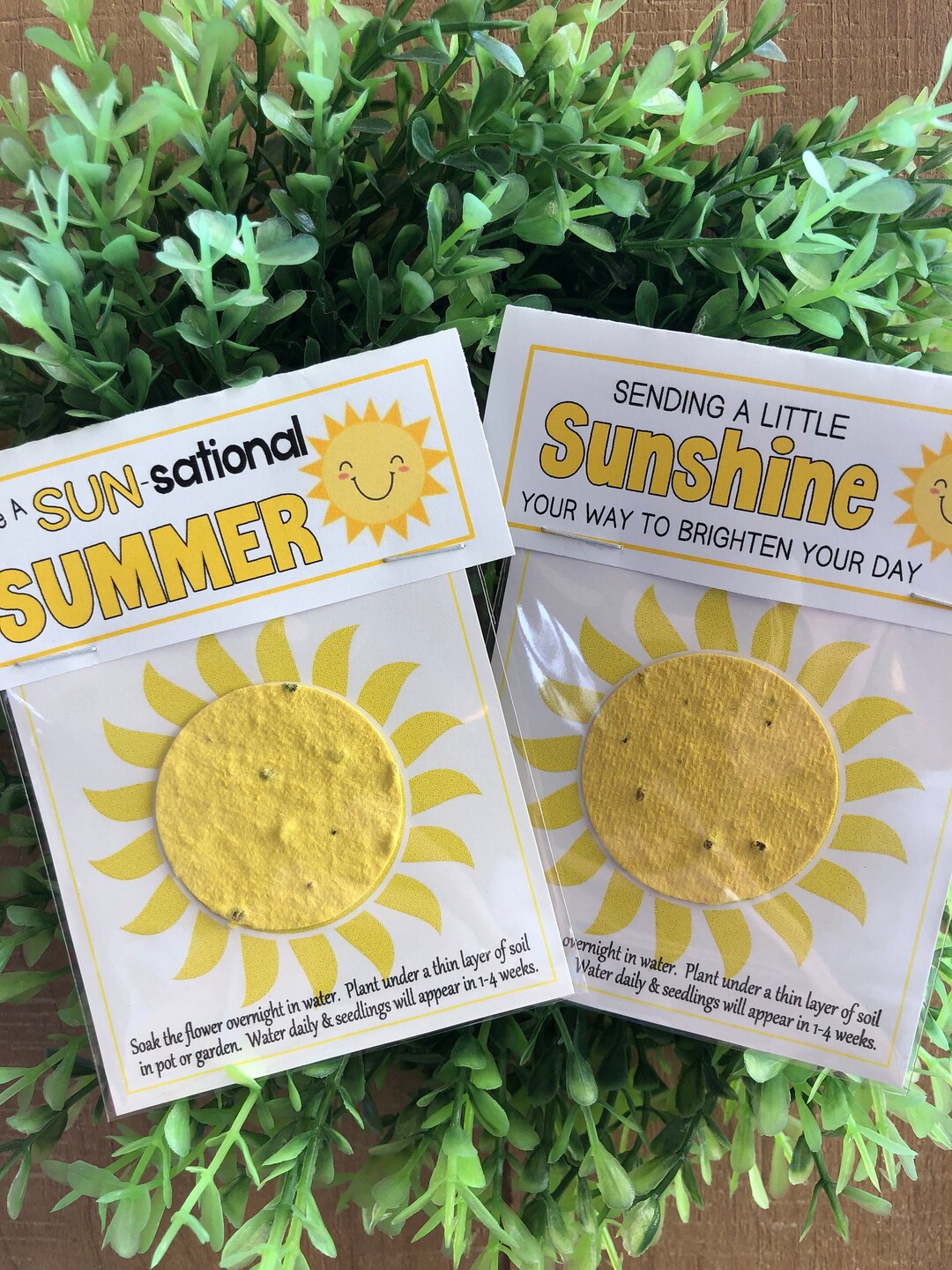 Have a Sun-sational Summer or Sending SUNSHINE -teacher Gifts or ...
