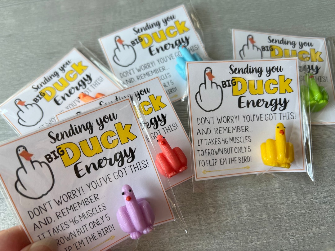 Sending You BIG DUCK ENERGY, Funny Middle Finger Duck, Flipping the ...