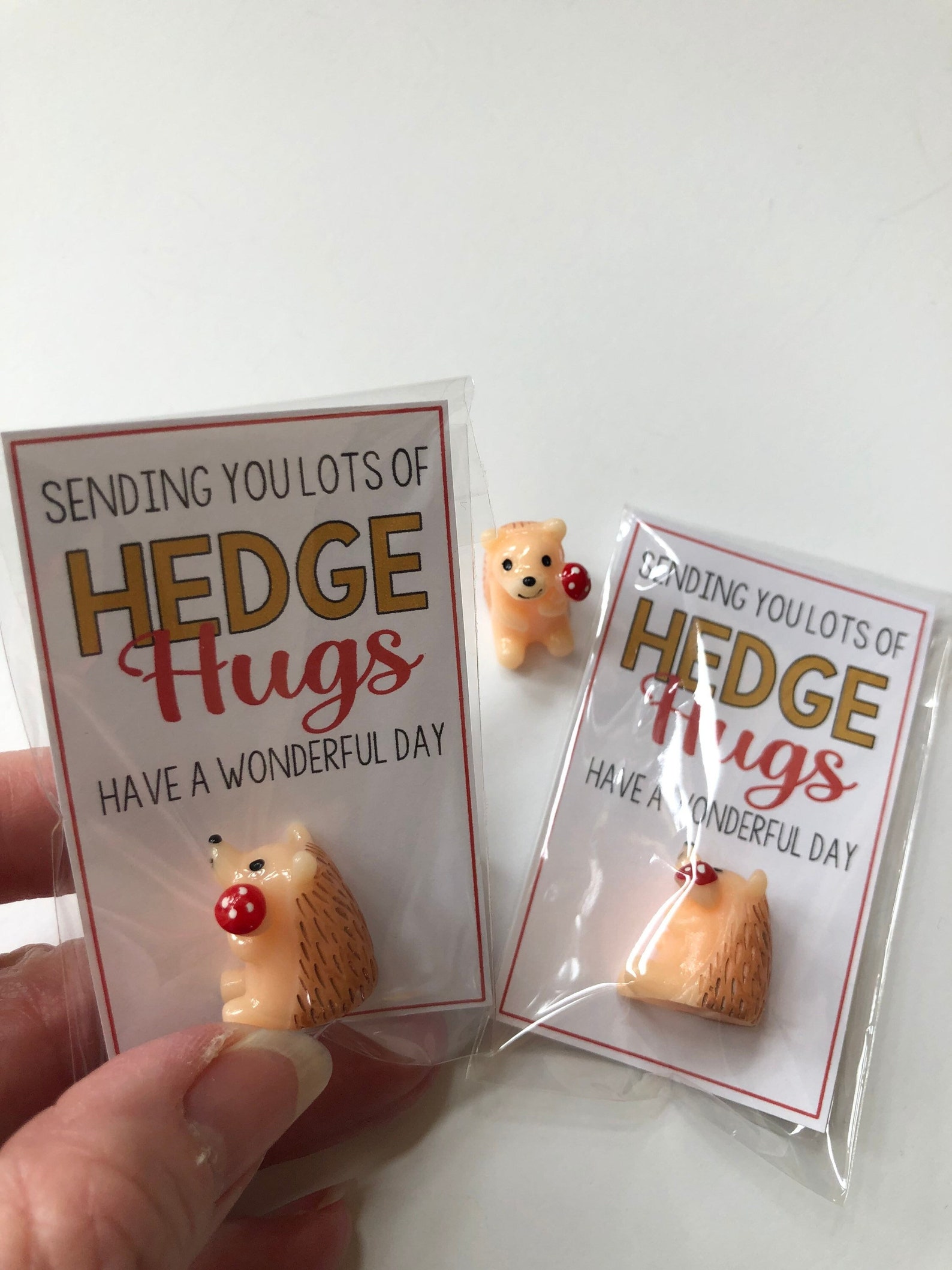 Sending You Lots of HEDGE HUGS - Tiny Hedgehog Good Luck Charm, Lucky ...