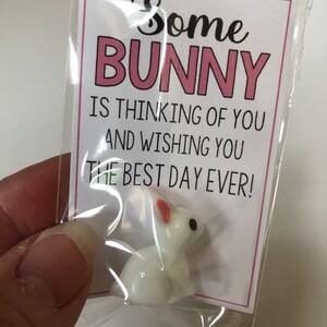 SOME BUNNY is Thinking of You - Tiny BUNNY Good Luck Charm, Lucky Charm ...