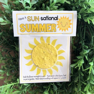 Have a Sun-sational Summer or Sending SUNSHINE -teacher Gifts or ...