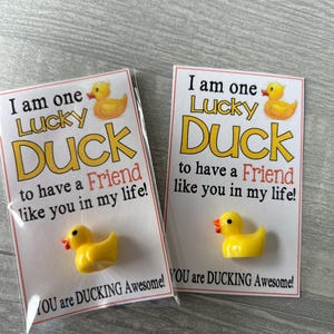 I Am One LUCKY DUCK to Have a FRIEND Like You! Mini Adorable Duck, Good ...
