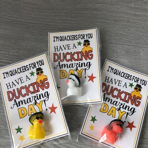 Have a DUCKING AMAZING DAY! -rubber Duck, Good Luck Charm, Lucky Ducky ...