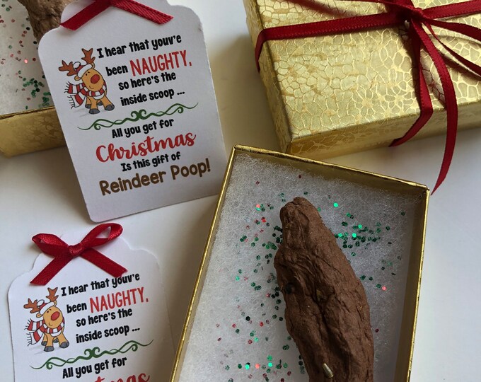 REINDEER POOP Wildflower TURD Bomb Plantable Recycled Paper Flower Seed ...