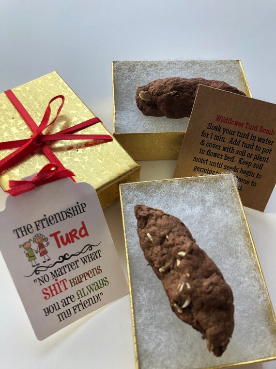 Wildflower TURD BOMB Plantable Recycled Paper Flower Seed - Etsy