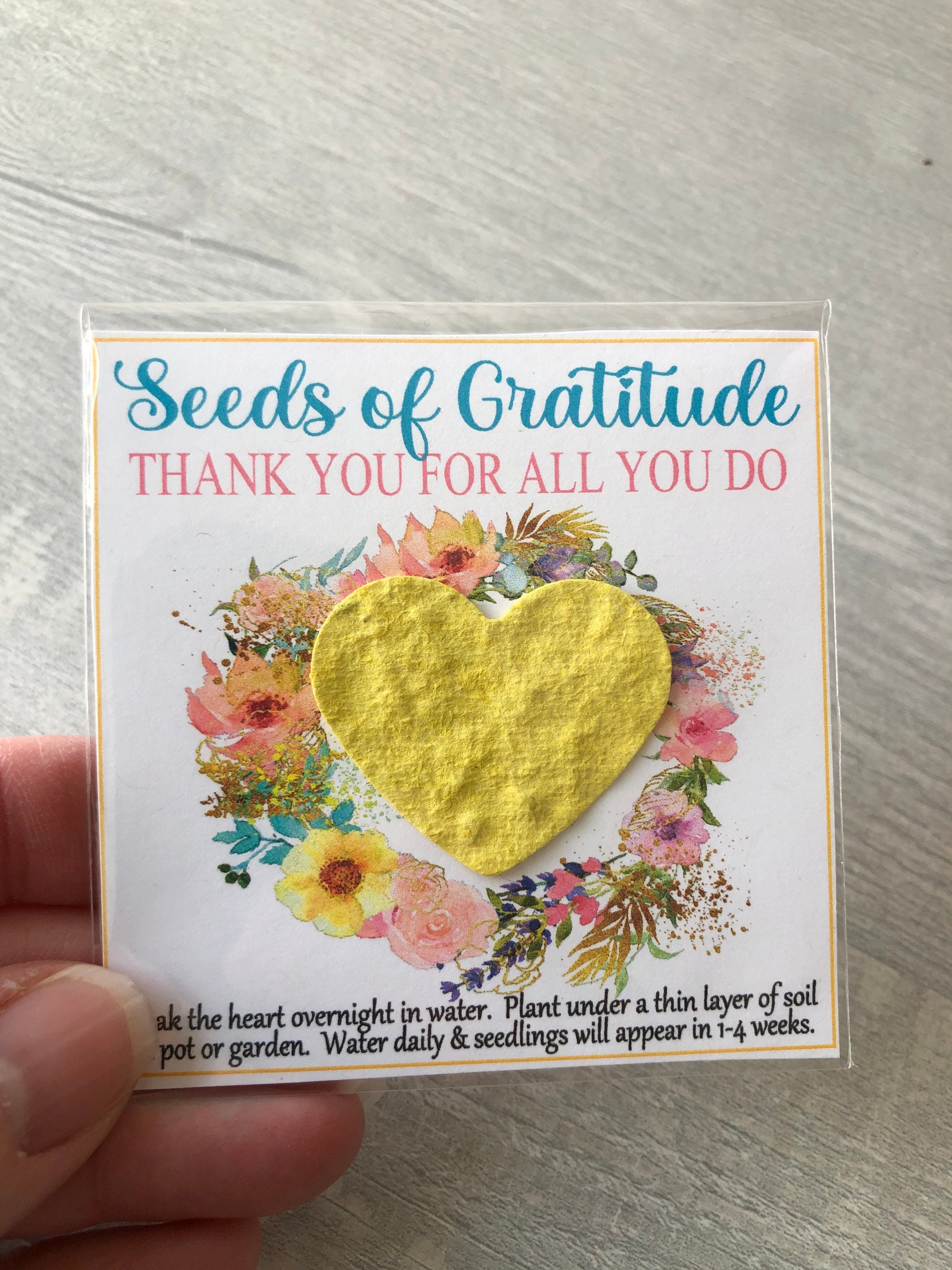 SEEDS of GRATITUDE- Bloomin' Plantable Seed Paper Gift Bags, Mothers ...