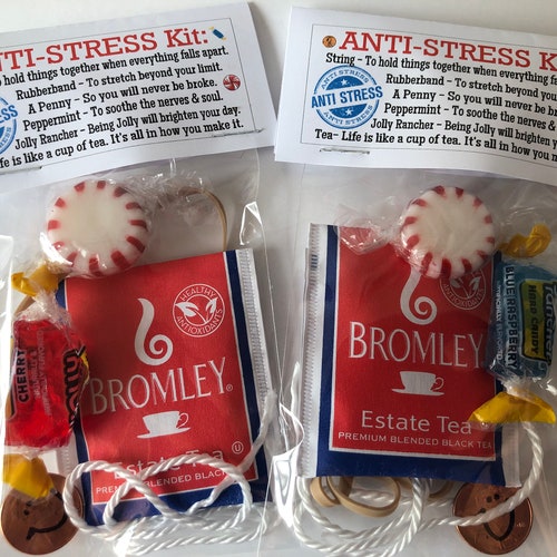 FART FILTER gag Gift Bags Funny Silly Prank Goody Bag - Etsy