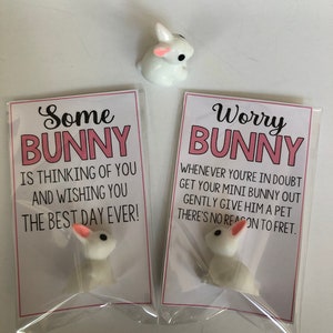 SOME BUNNY is Thinking of You - Tiny BUNNY Good Luck Charm, Lucky Charm ...