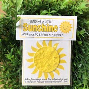 Sending a Little SUNSHINE Your Way to Brighten Your Day-bloomin ...