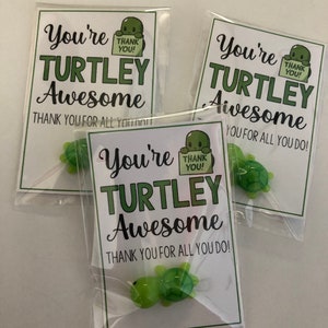 You're TURTLEY AWESOME, Tiny Turtle Good Luck Charm Gift Bag, THANK You ...
