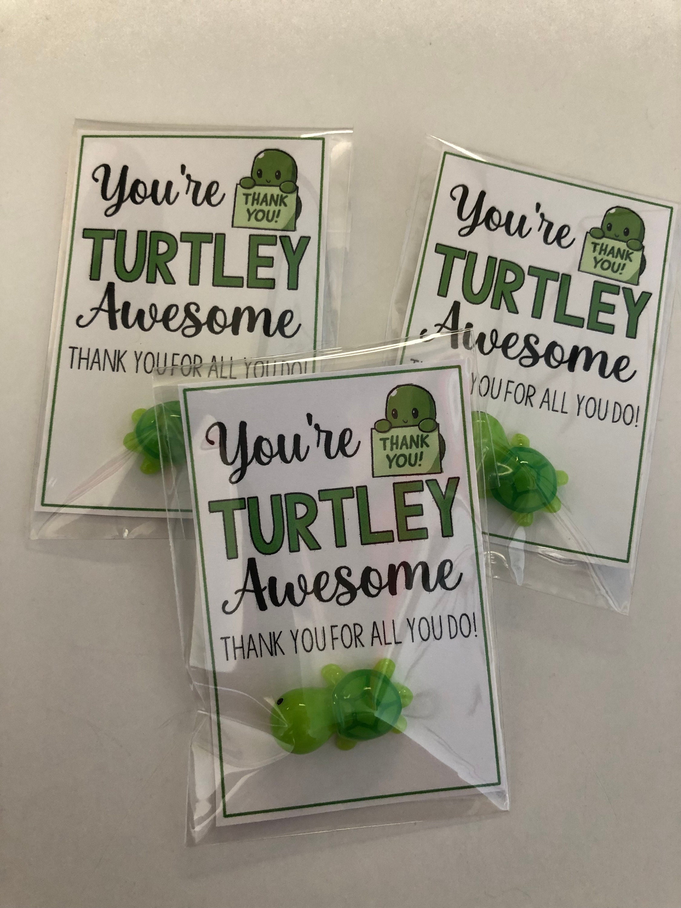 You're TURTLEY AWESOME, Tiny Turtle Good Luck Charm Gift Bag, THANK You ...