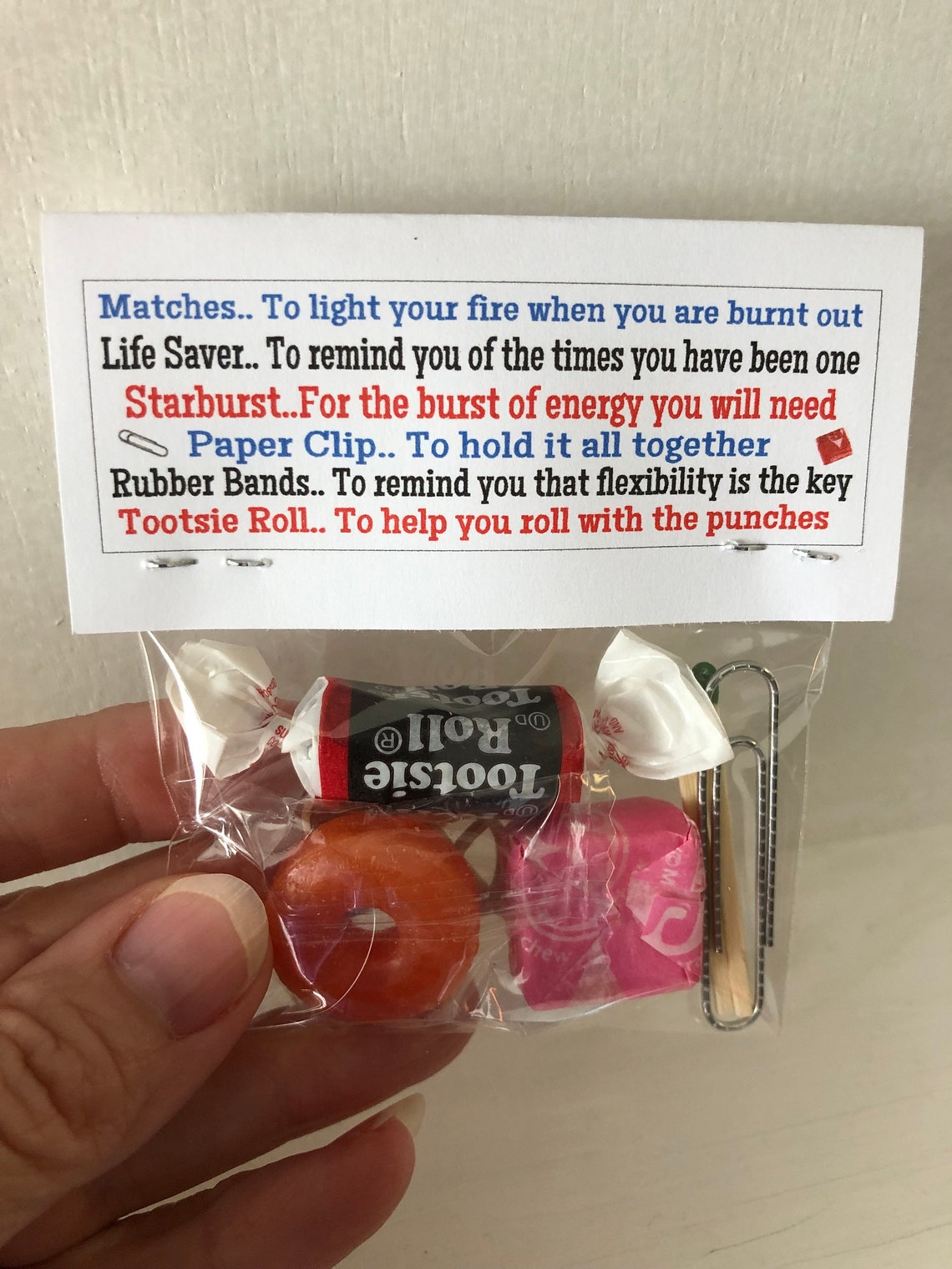 VET Tech's SURVIVAL KIT Funny Gag Gift Bags, Silly Prank Goody Bags ...