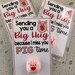 Missing You PIG TIME!- Mini Piggy Good Luck Charm, Tiny Hog Pig Gift ...