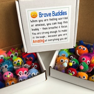BRAVE BUDDIES -box Filled With Critter Poms and Cute Poem Teacher ...