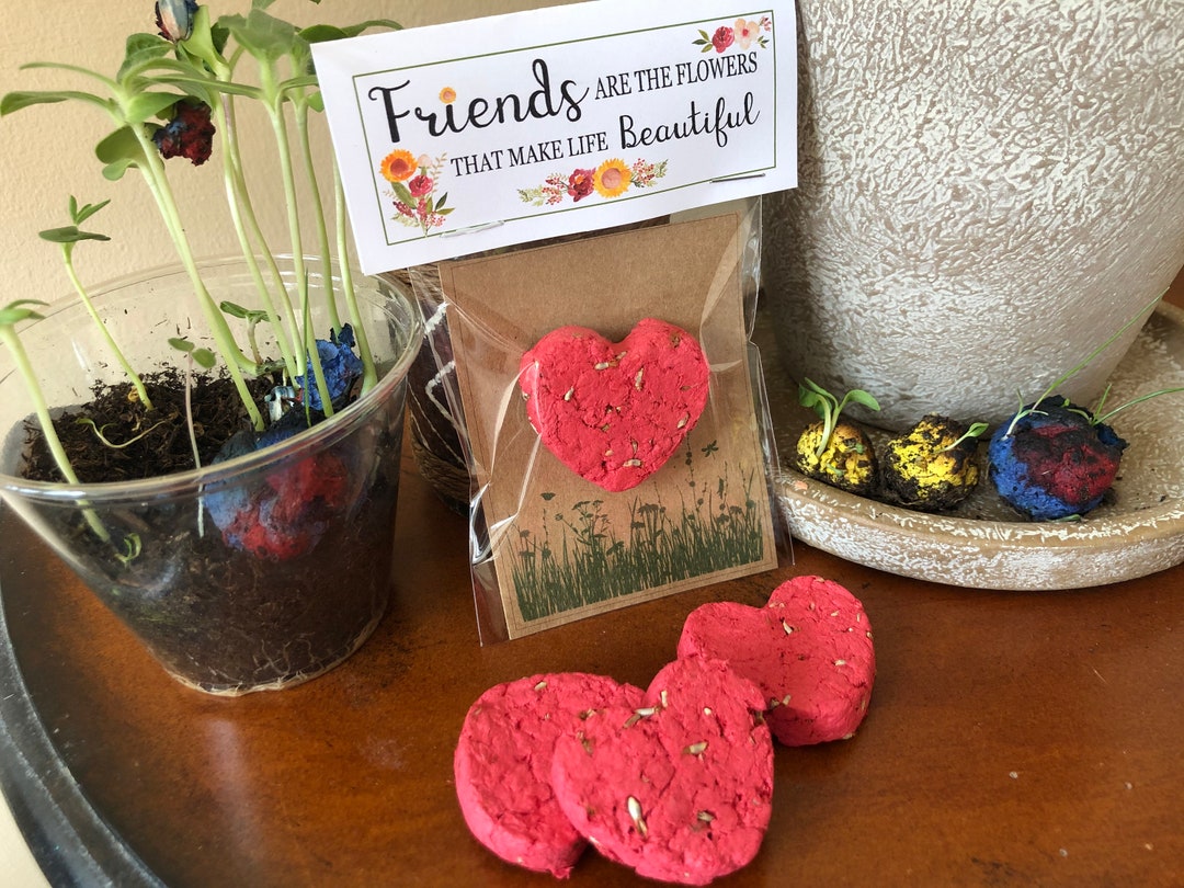 Set of 2 - WILDFLOWER HEART Seed Bomb Gift Bags - Set of 2 - Plantable ...