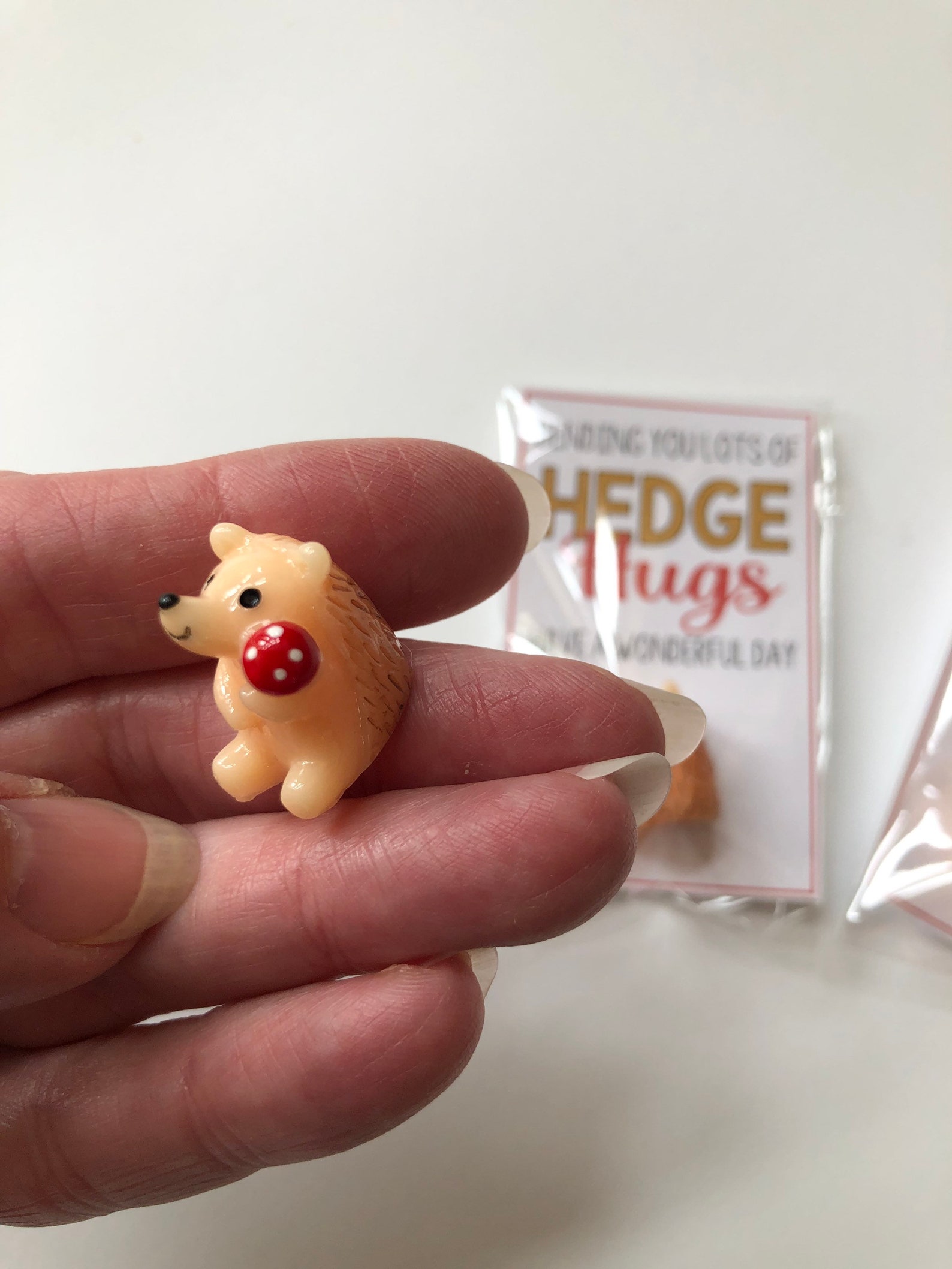 Sending You Lots of HEDGE HUGS - Tiny Hedgehog Good Luck Charm, Lucky ...