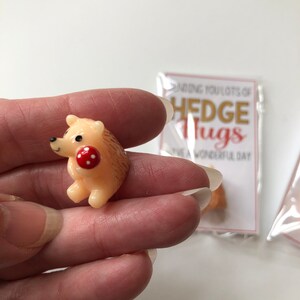 Sending You Lots of HEDGE HUGS - Tiny Hedgehog Good Luck Charm, Lucky ...