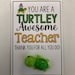 You Are a TURTLEY AWESOME TEACHER, Tiny Turtle Good Luck Charm, School ...