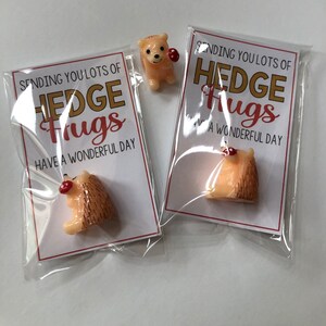 Sending You Lots of HEDGE HUGS - Tiny Hedgehog Good Luck Charm, Lucky ...