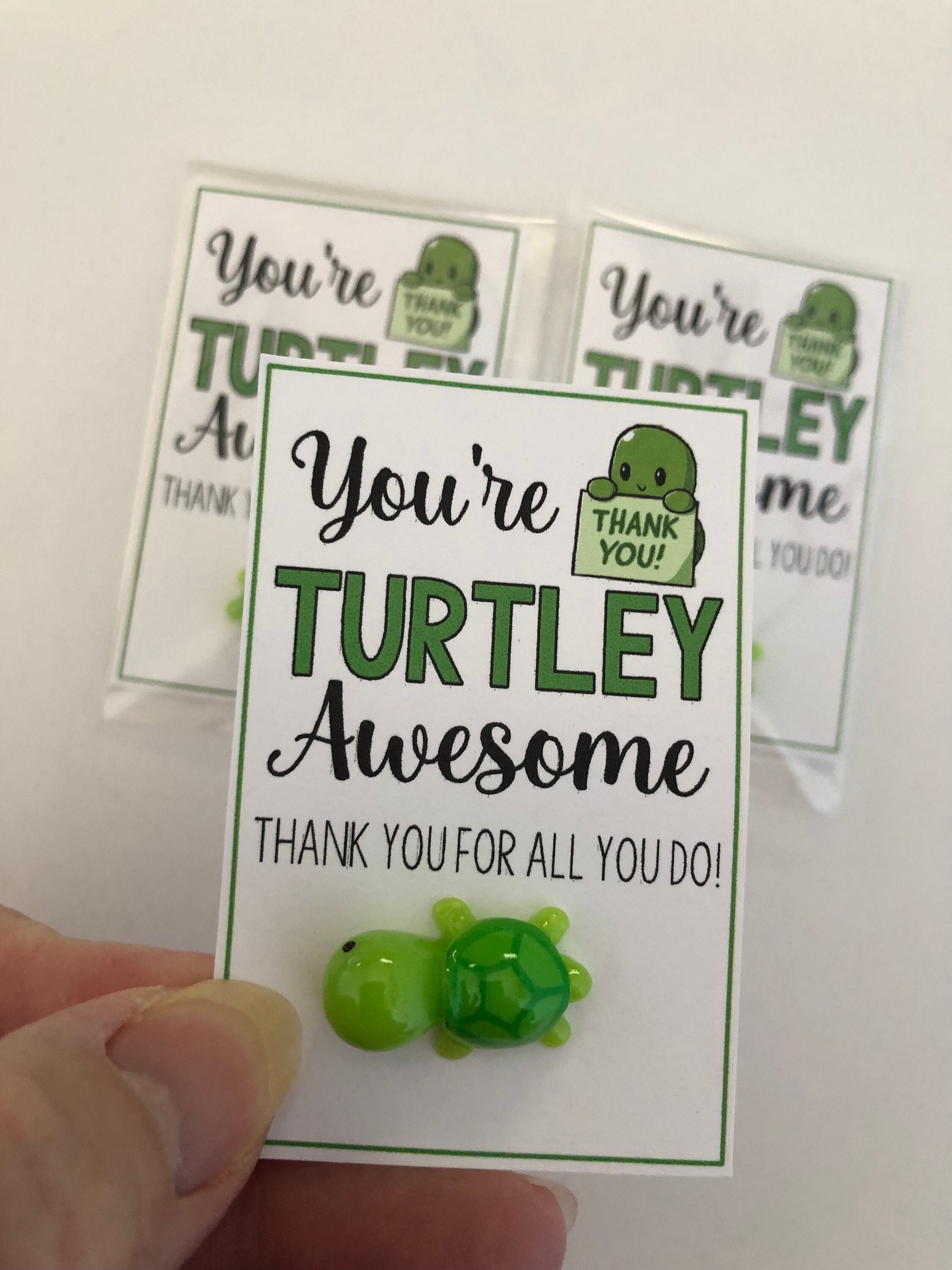 You're TURTLEY AWESOME, Tiny Turtle Good Luck Charm Gift Bag, THANK You ...