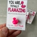 You Are Totally FLAMAZING!- Mini Flamingo Good Luck Charm, FLOCKING ...