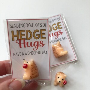 Sending You Lots of HEDGE HUGS - Tiny Hedgehog Good Luck Charm, Lucky ...