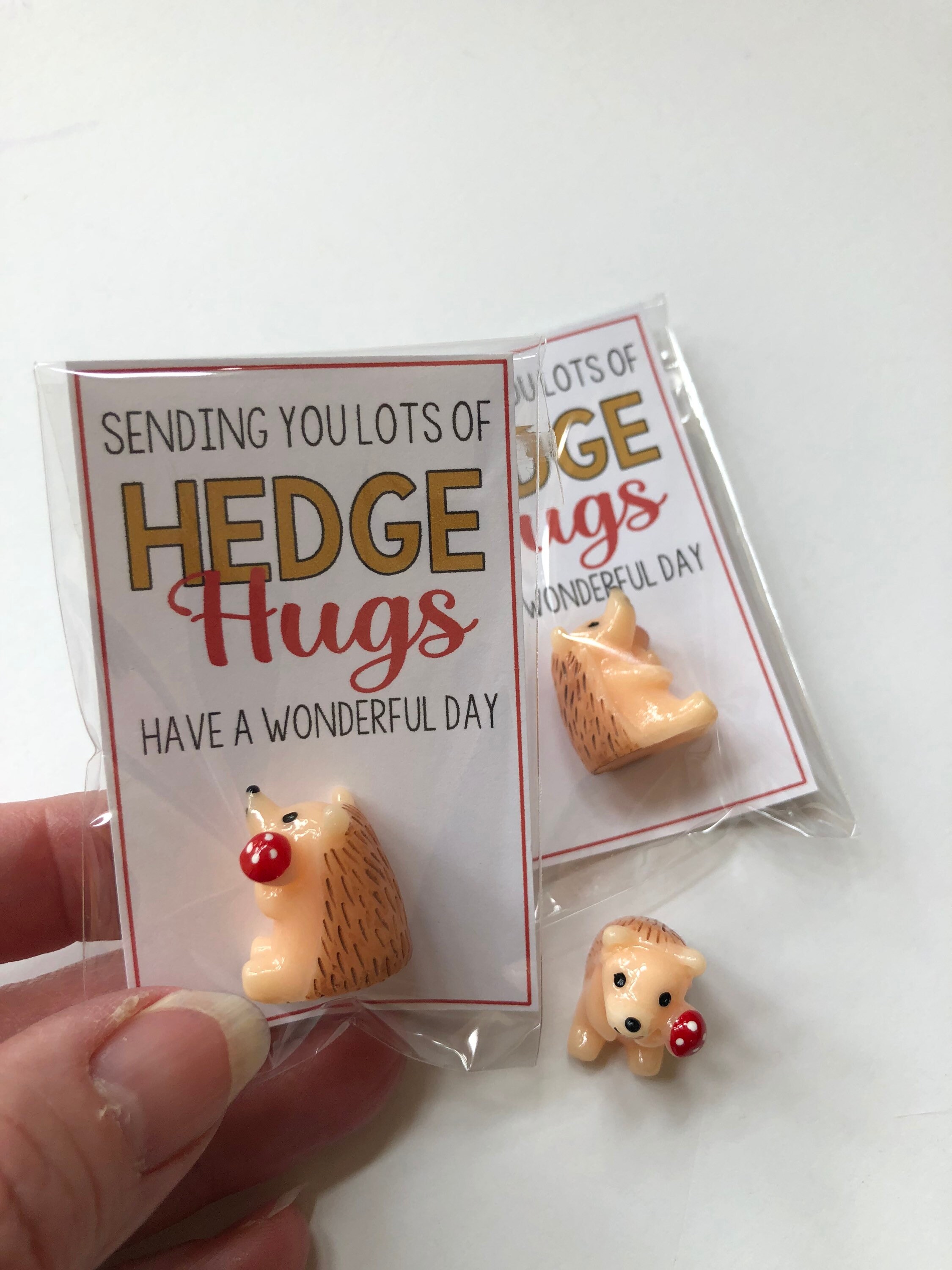 Sending You Lots of HEDGE HUGS - Tiny Hedgehog Good Luck Charm, Lucky ...